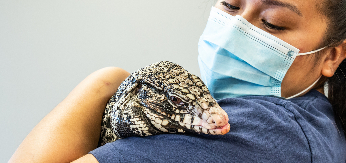 Spring Break Extreme Animals Camp | City of Moore